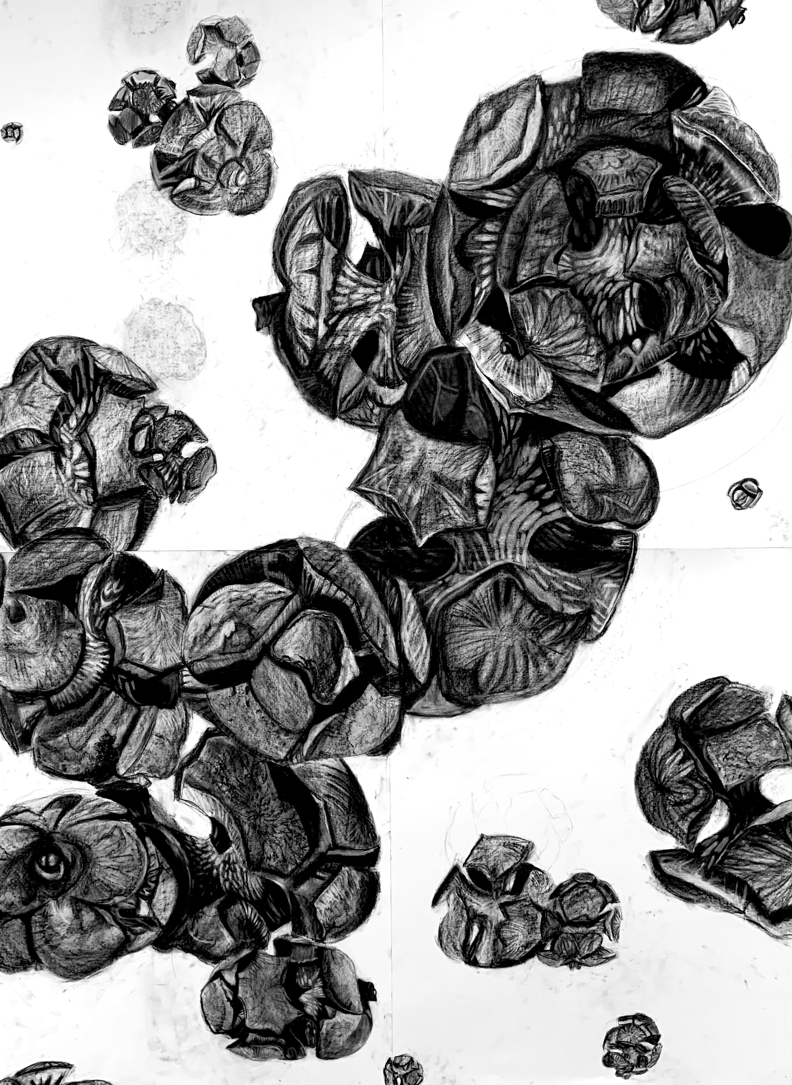 Abigail Buchwald | Work