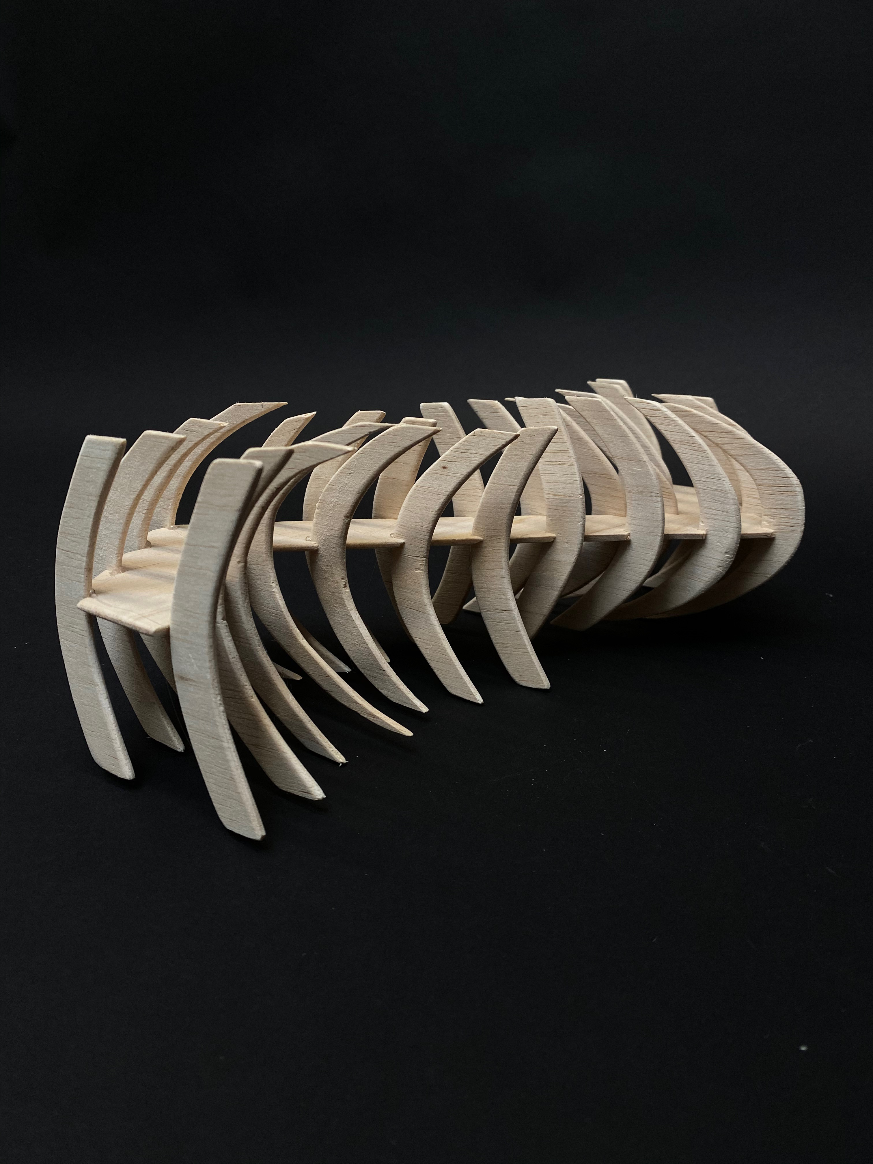 Abigail Buchwald | Work